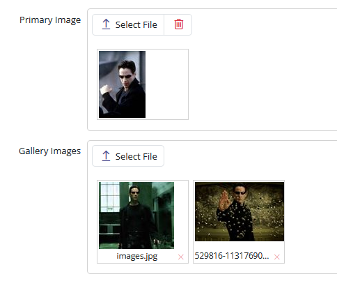Managing Primary and Gallery Images - Serenity Guide